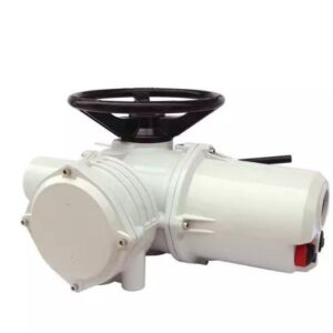 Rotork IQ40,IQT,IQ12,IQ95,IQ25,IQ18,IQTM1000,IQTM500,IQTM2000 Valve ...